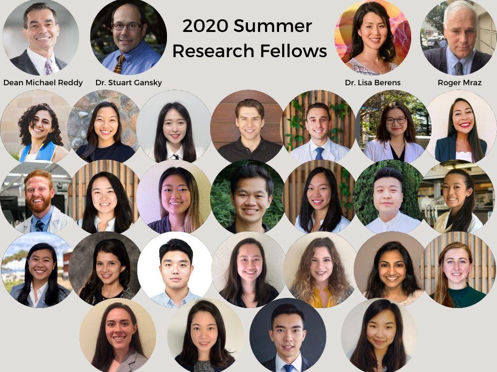 Dental Student Research Fellowship Program | School of Dentistry