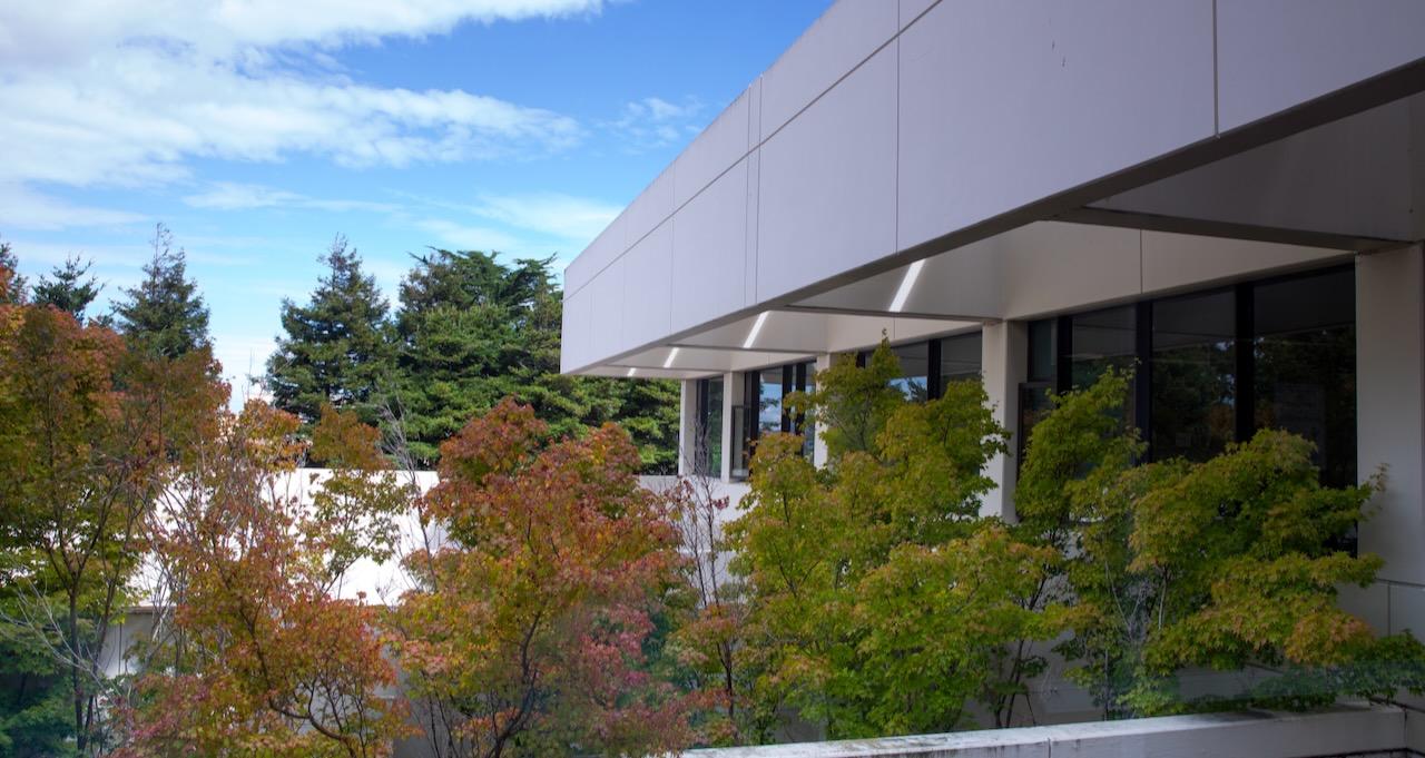 Home | School of Dentistry